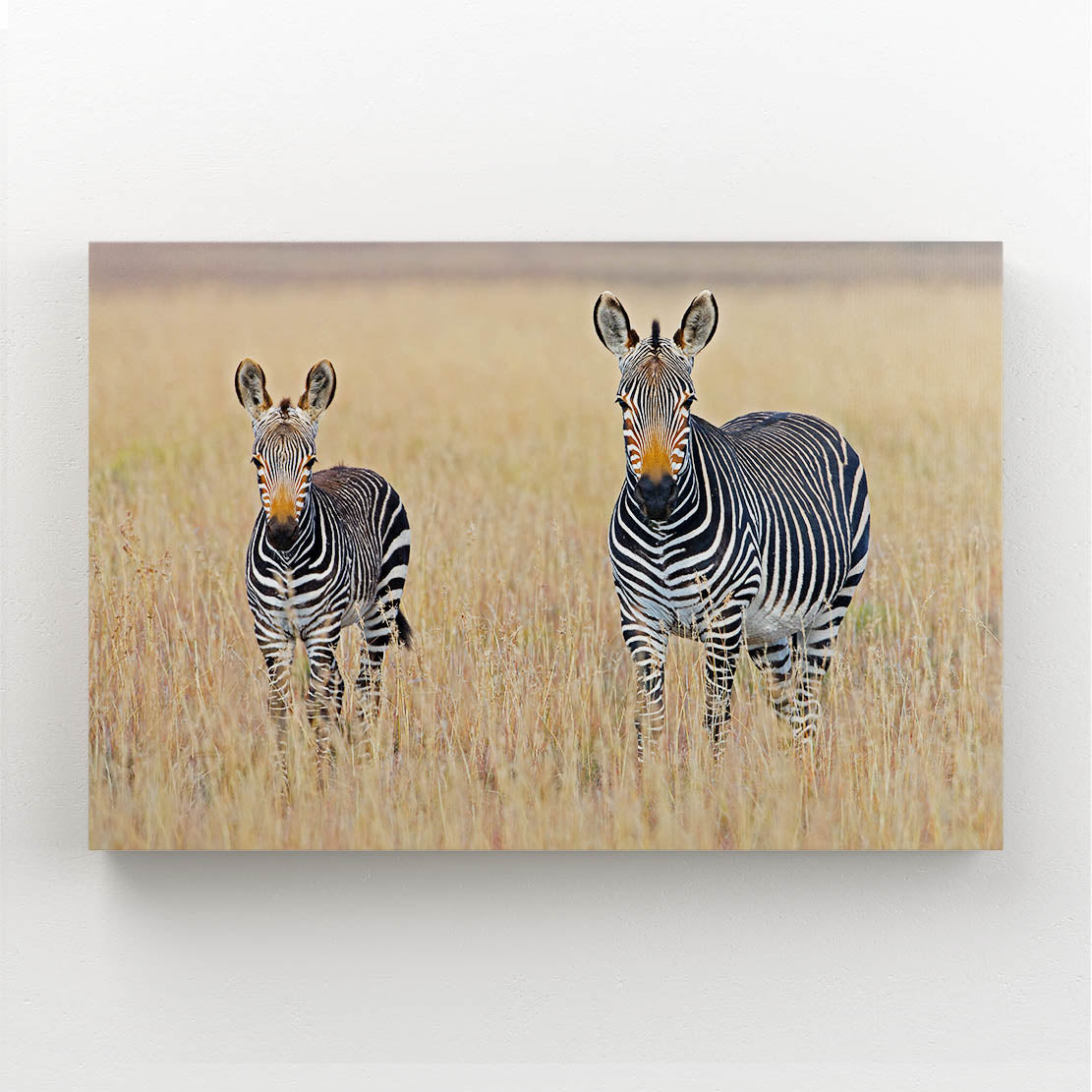 Zebras Painting | TableauDecoModerne®