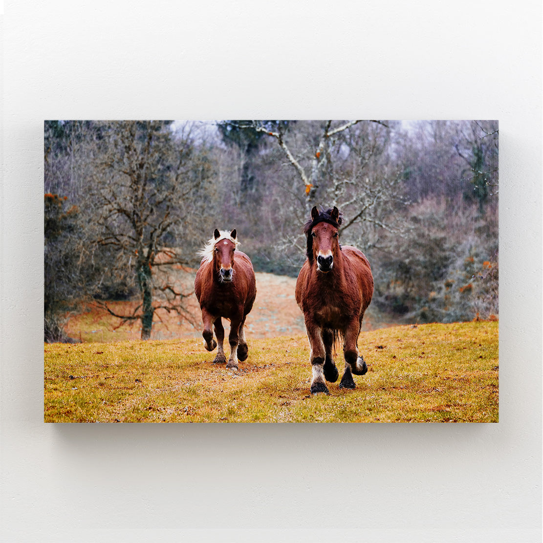 Tableau de Chevaux | TableauDecoModerne®
