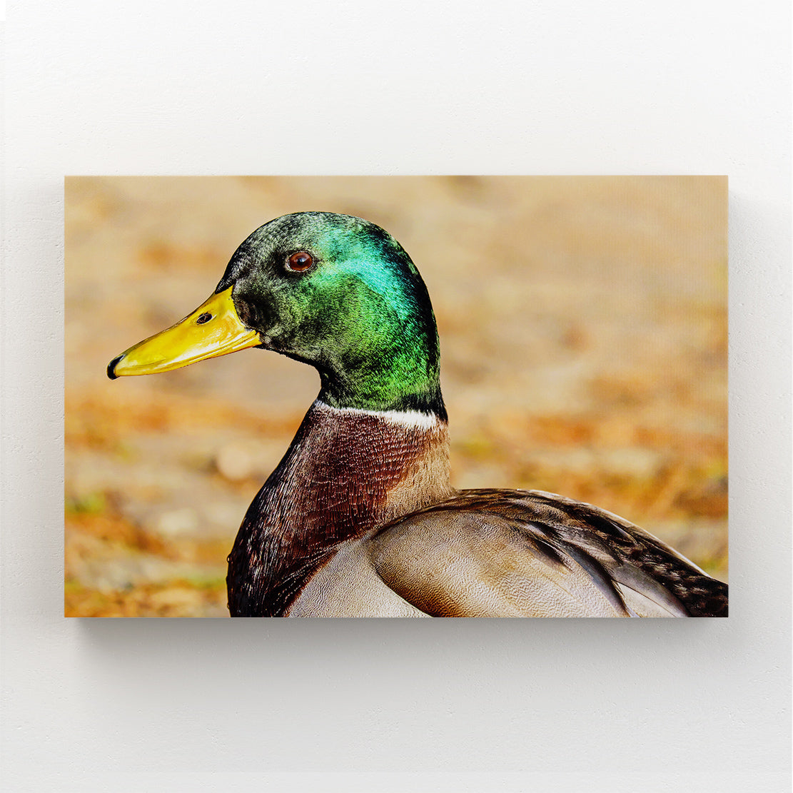 Duck Painting | Modern Decor Painting – TableauDecoModerne®