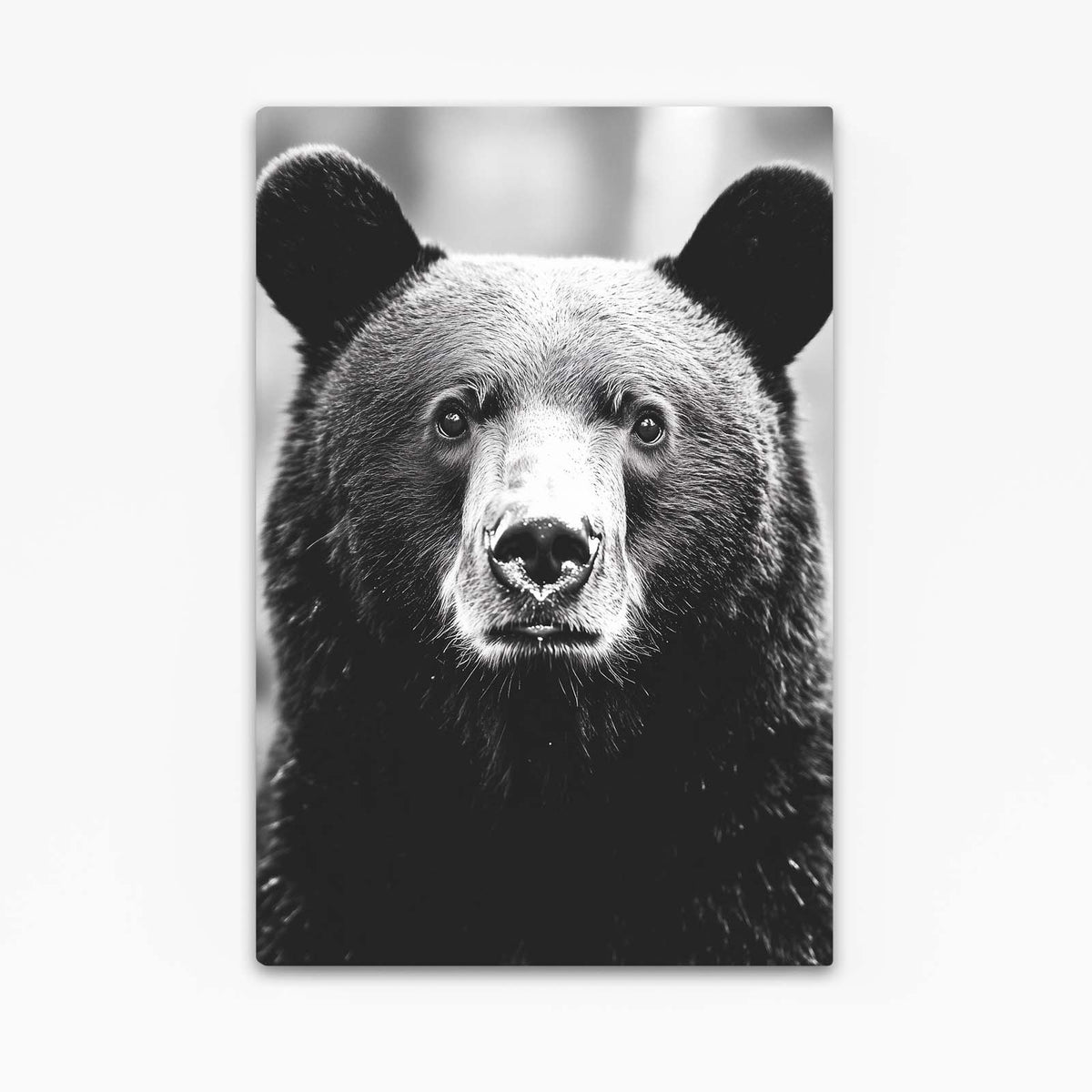 Le Tableau Ours | TableauDecoModerne®